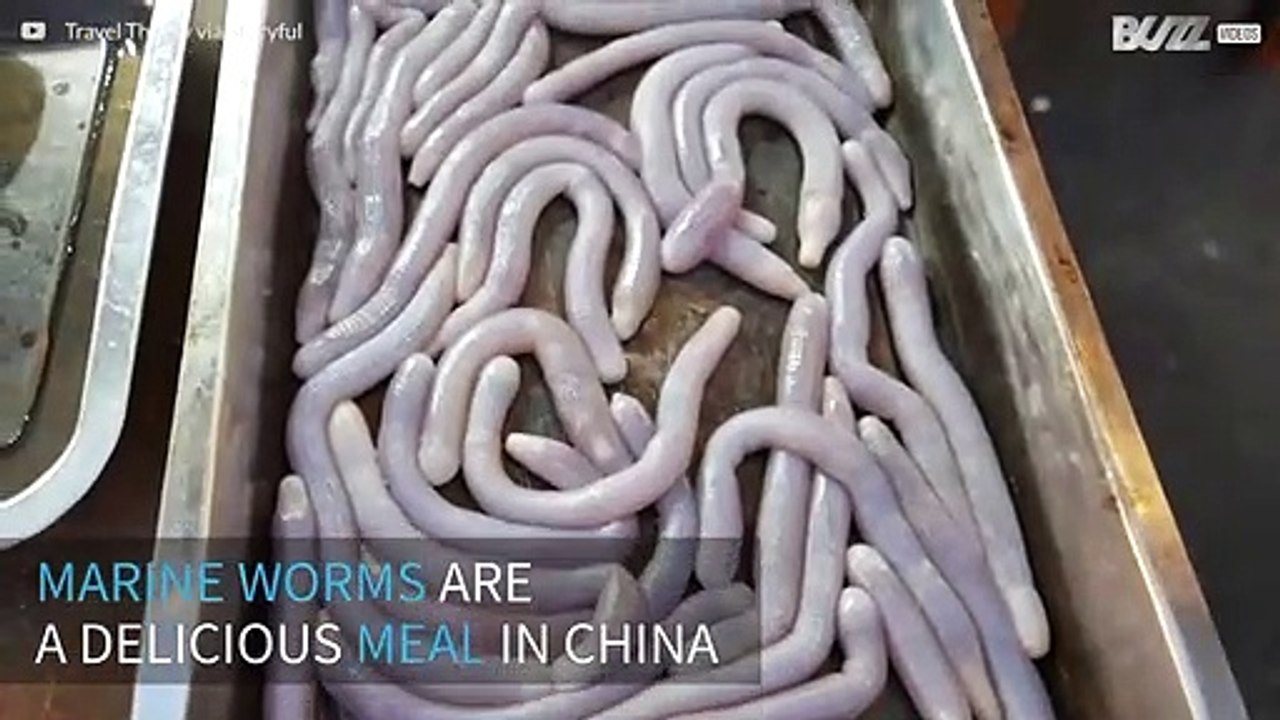Giant marine worms are a delicacy in China - video Dailymotion