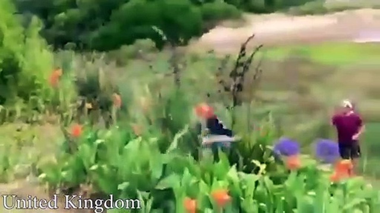 TOP 5 _ SILLY SALMON CHALLENGE VIDEOS ( Jackson O'Doherty and Luke ...