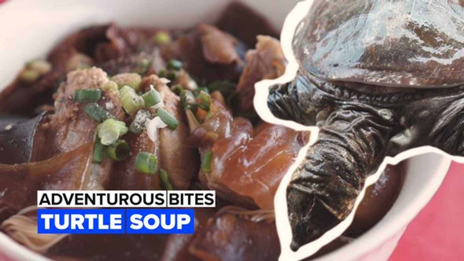 Cooked Turtle Soup