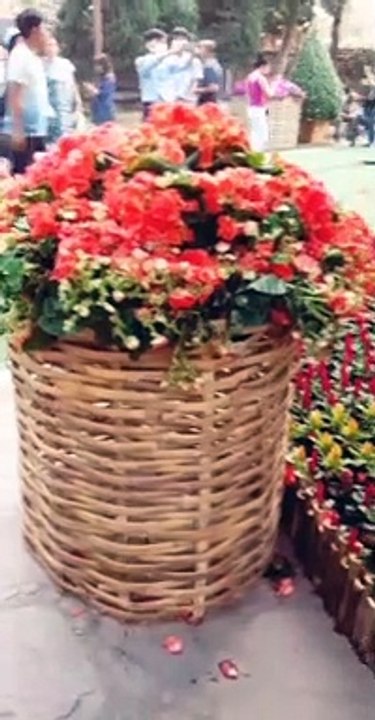 Flowers - video Dailymotion