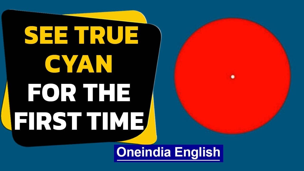 True cyan illusion goes viral: Can you spot the colour? | Oneindia News ...