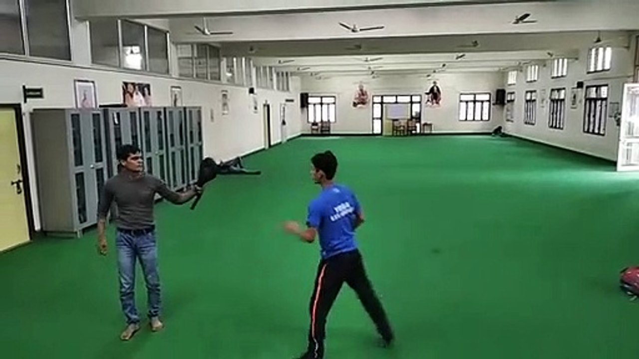 Reverse round Kick/how to do reverse round kick - video Dailymotion