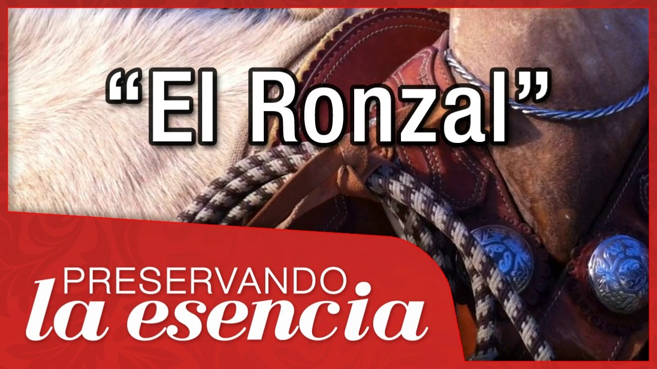 El Ronzal (ramal o cabestro), usos, nudos, etc. Montura charra. - Vídeo ...
