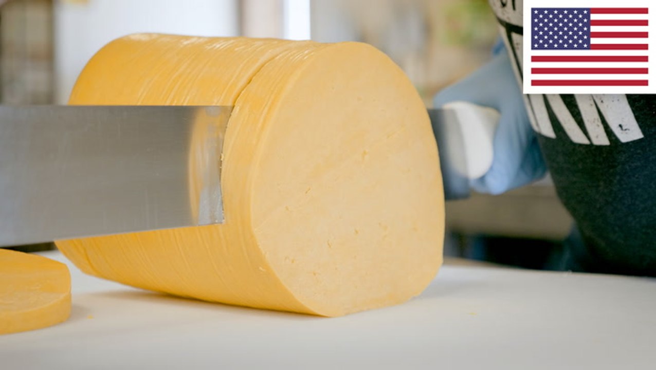 How real Colby cheese is made in Wisconsin using a 100-year-old ...