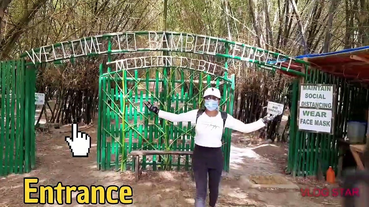 Bamboo Farm Brgy. Luy-A Medellin Cebu | Bamboo Forest Medellin Cebu ...