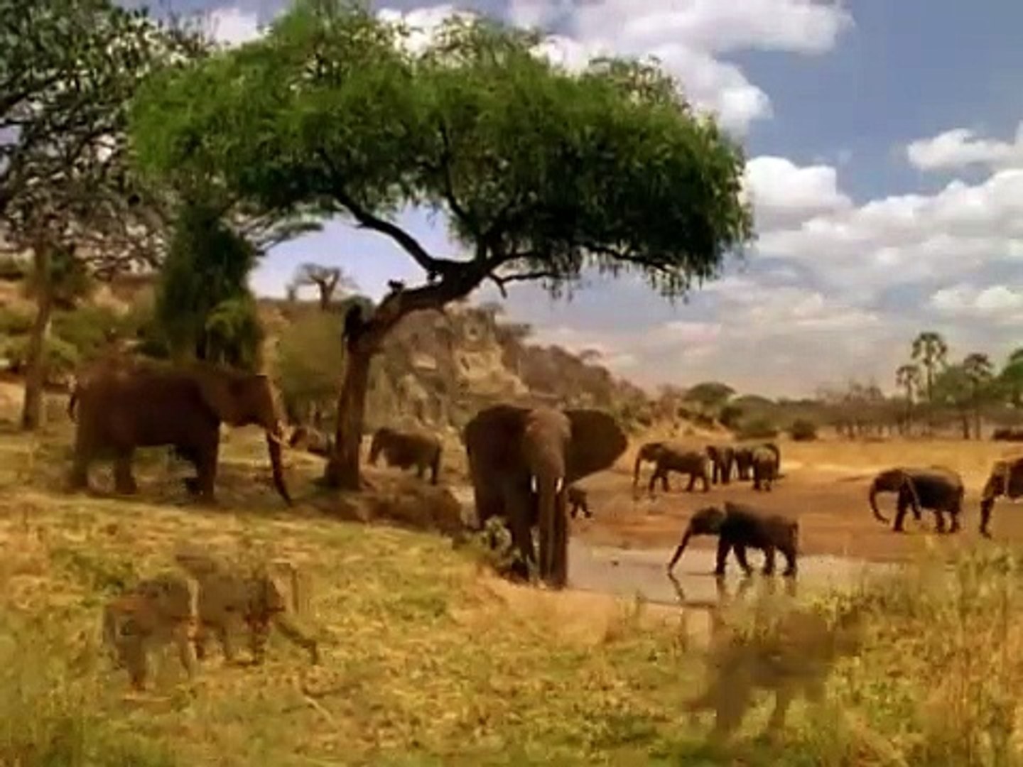 Michael Jackson Earth Song Video