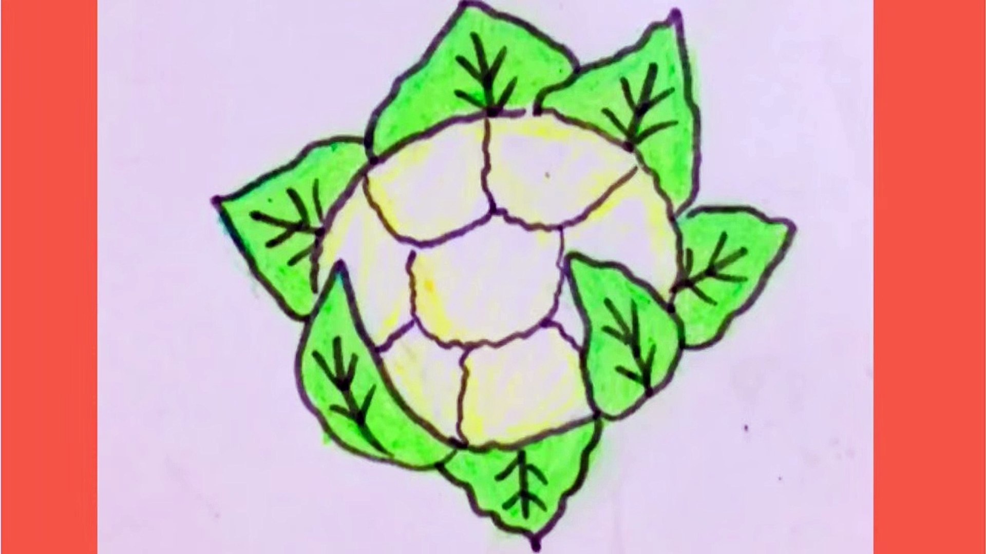 Cauliflower Drawing