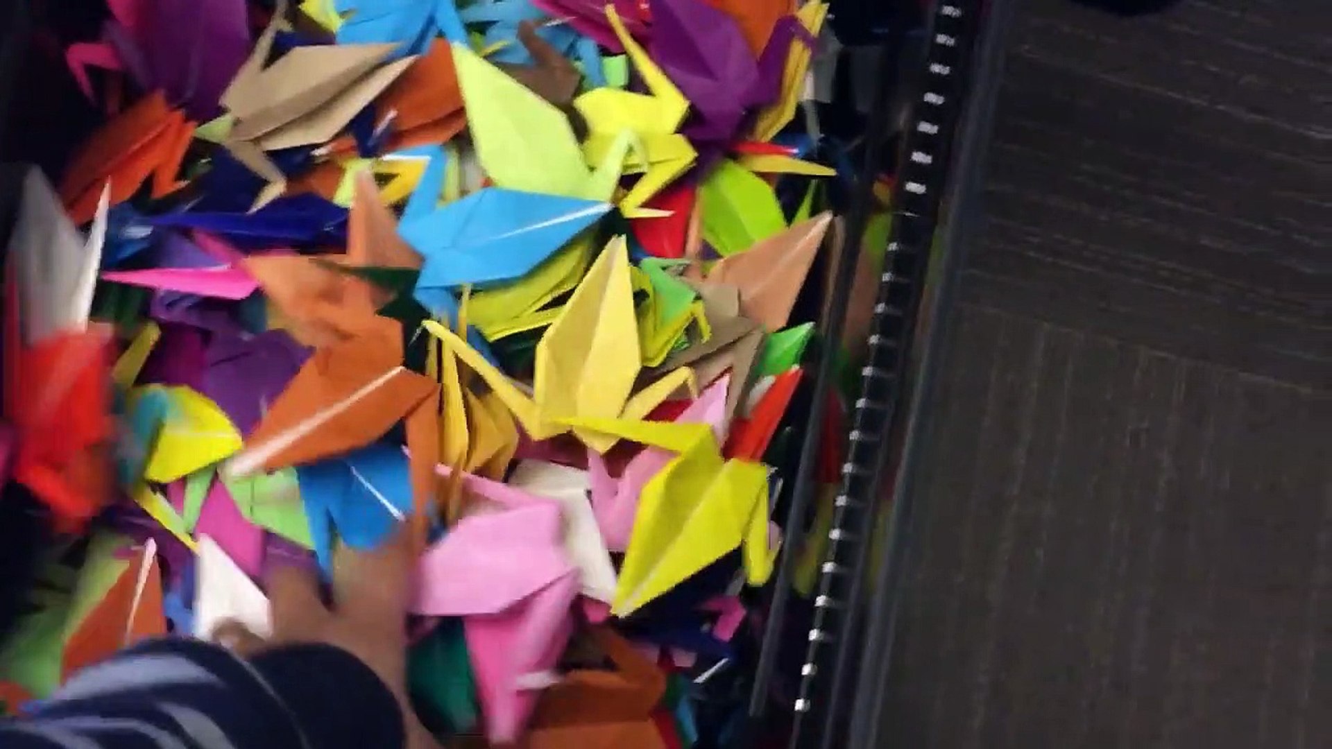 1000 Origami Cranes Senbazuru : 1000 Paper Cranes: 3 Steps (with