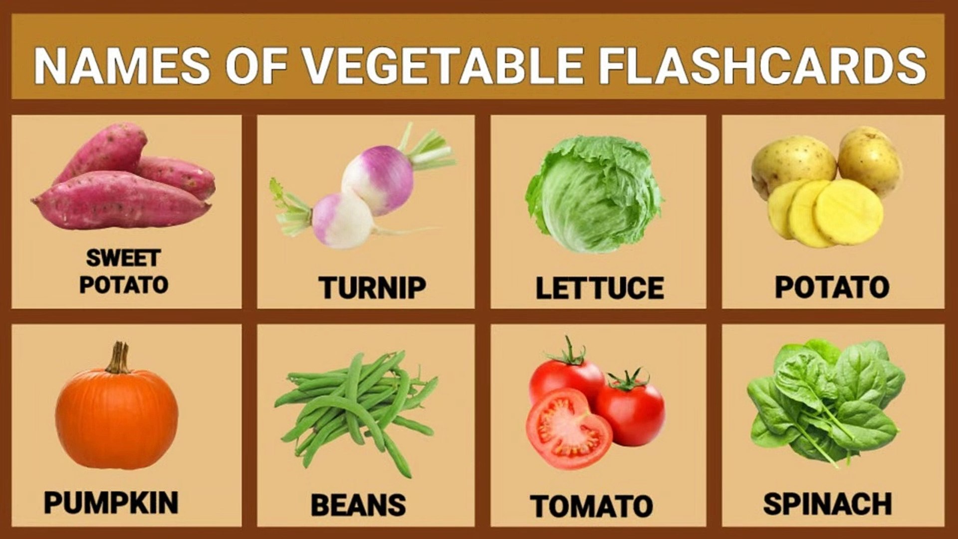 List Of Vegetables Useful Names Of Vegetables With The