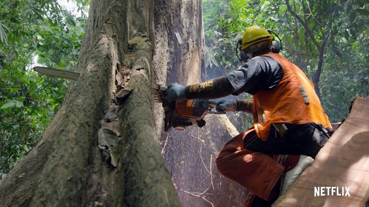 Breaking Boundaries: The Science of Our Planet - Official Trailer ...