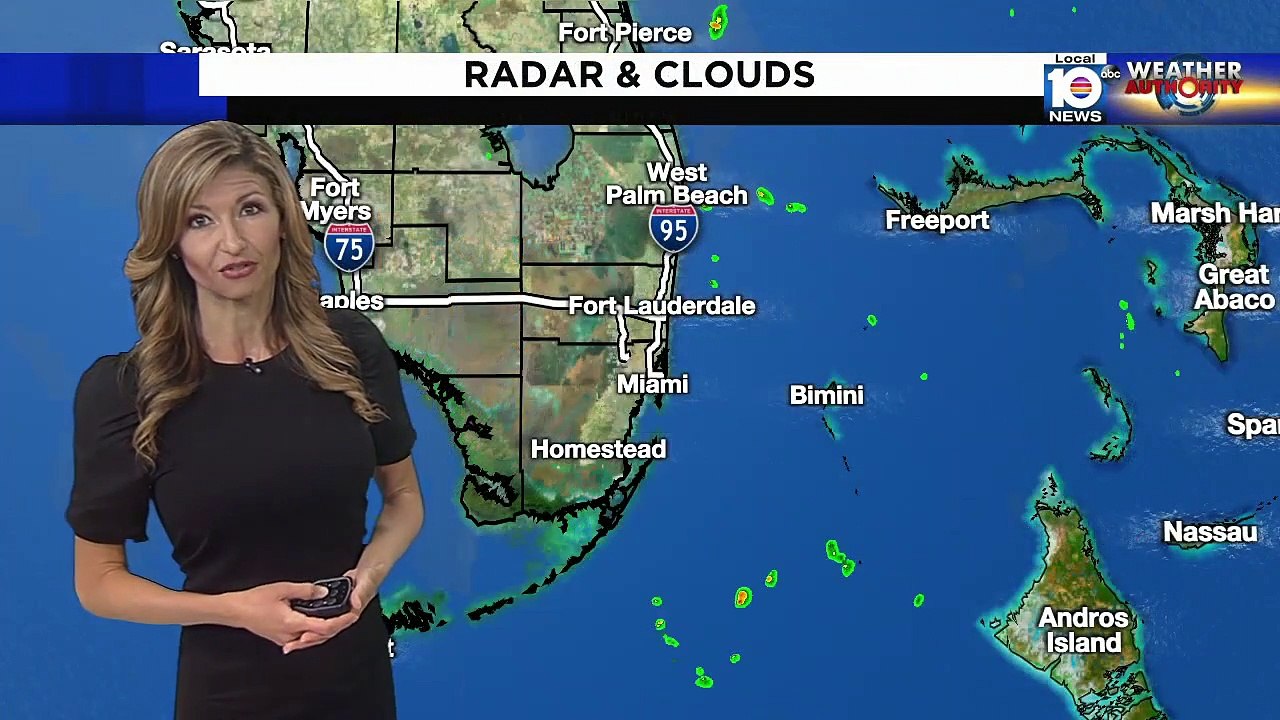 Julie Durda on WPLG Local 10 (11/05/2021) - Vidéo Dailymotion