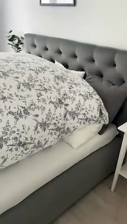 dog like a boss by John Banjar - video Dailymotion