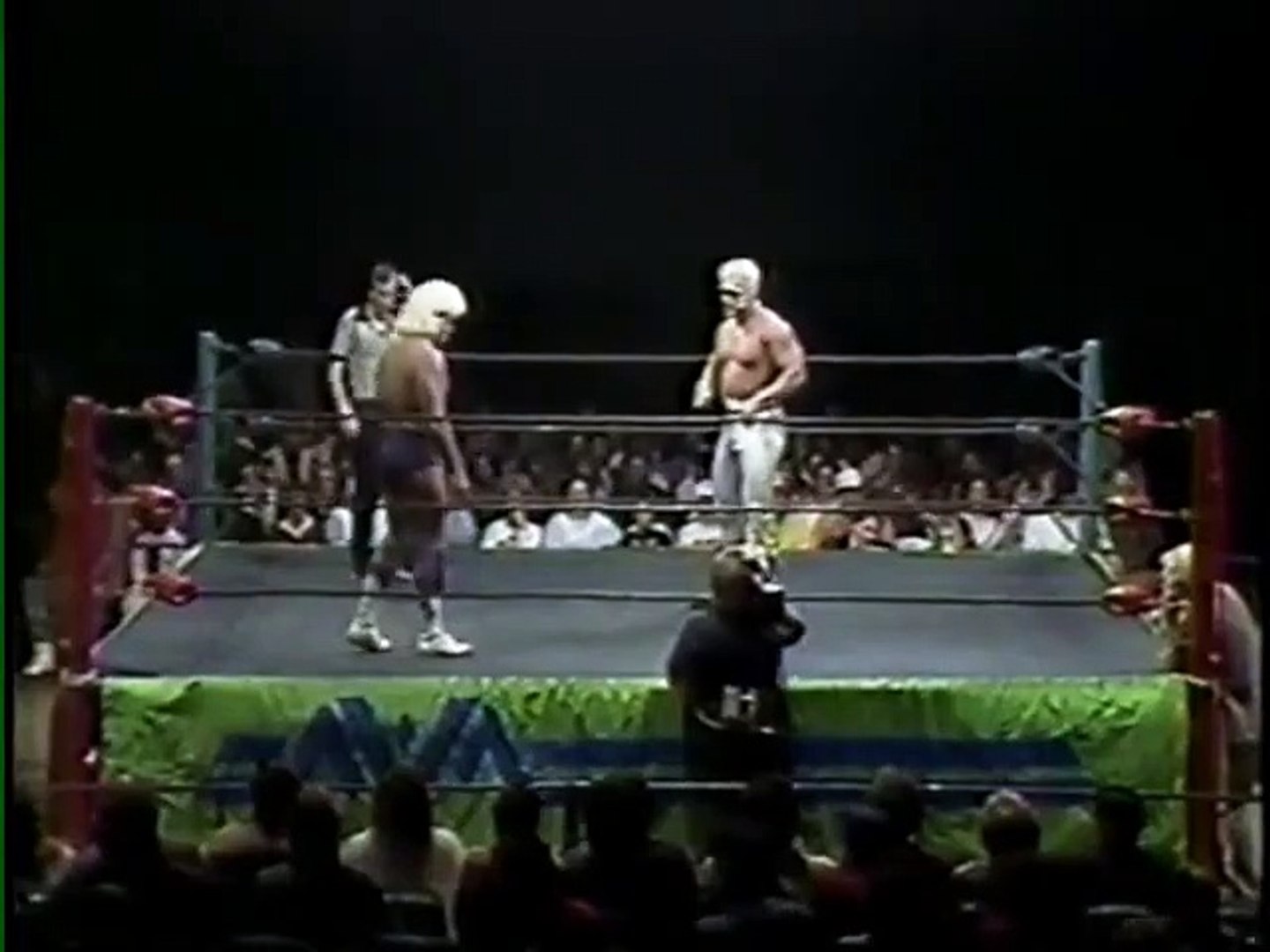 Wcw Sting 1988