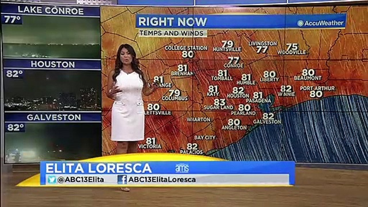 Elita Loresca on ABC 13 Houston (08/06/2021) - Vidéo Dailymotion