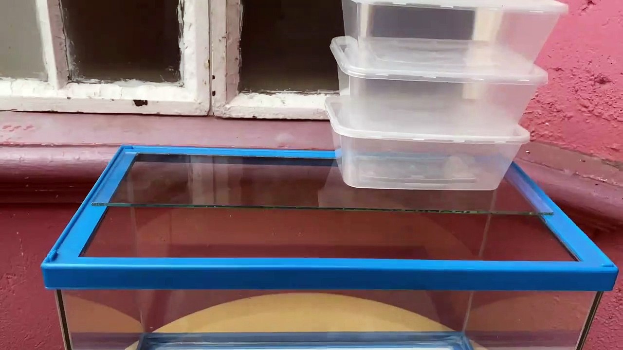 Trickle Filter Diy For Aquarium The Best Aquarium Top Filter... - video ...