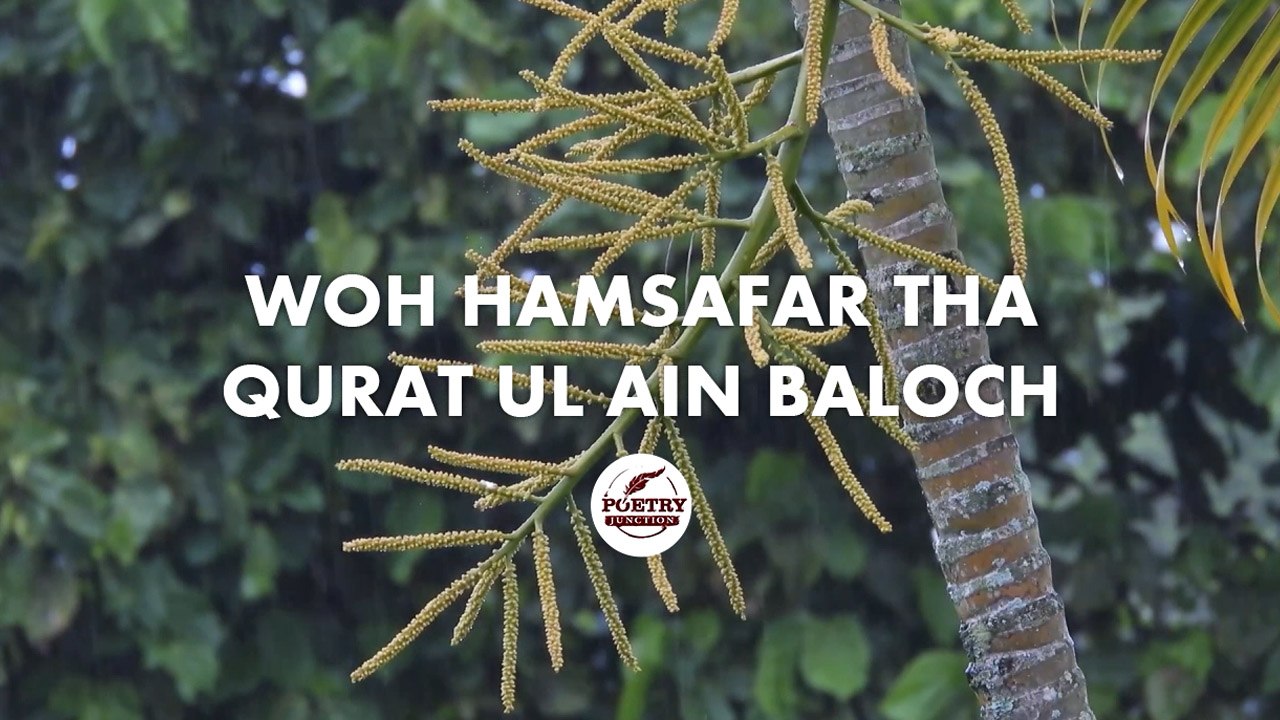 Woh Humsafar Tha | HUM TV OST | Qurat Ul Ain Baloch | Lyrical Video ...
