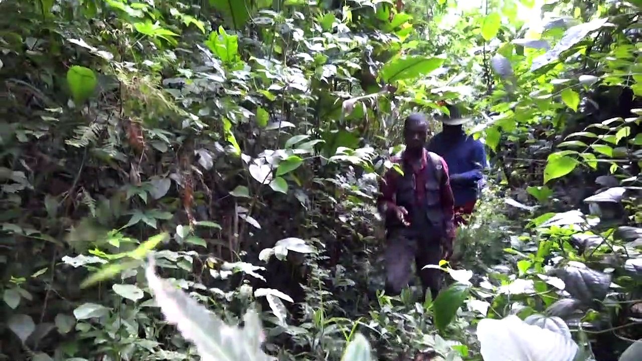 ET SI C'ÉTAIT ÇA LE BONHEUR ÉTAPE DE BOSSOU web - Vidéo Dailymotion