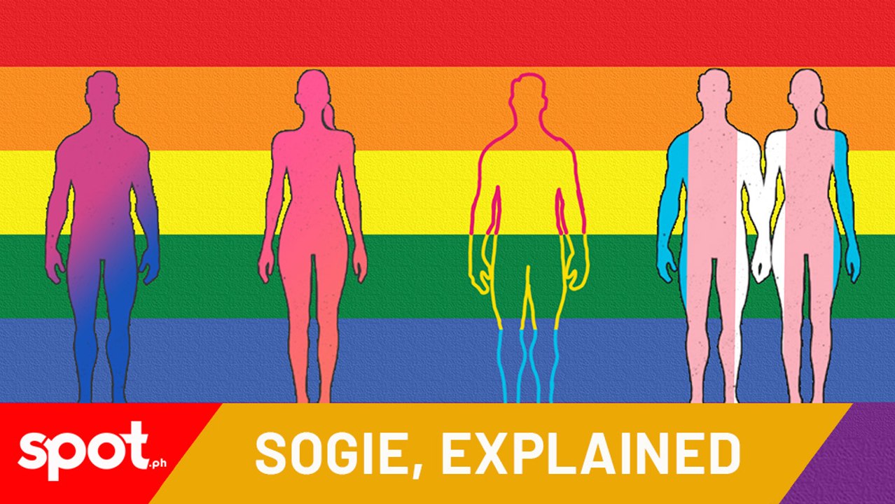 SOGIE, Explained - video Dailymotion