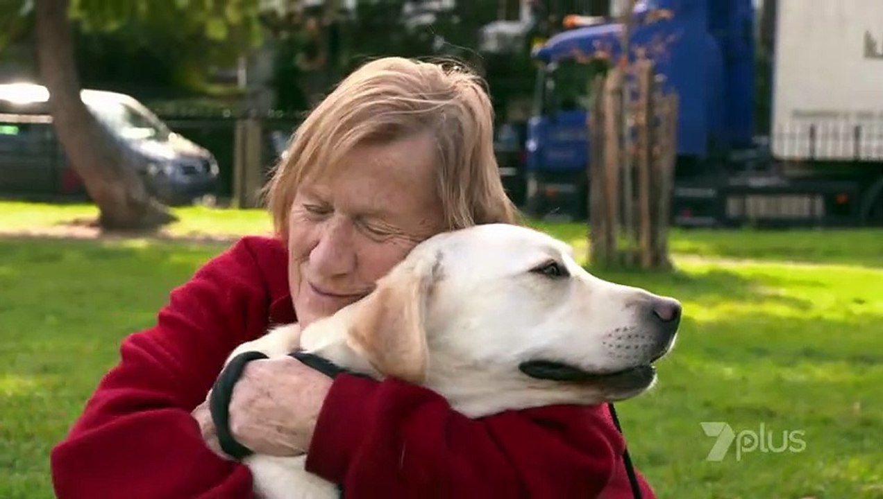 Dogs Behaving Very Badly S01E02 - video Dailymotion