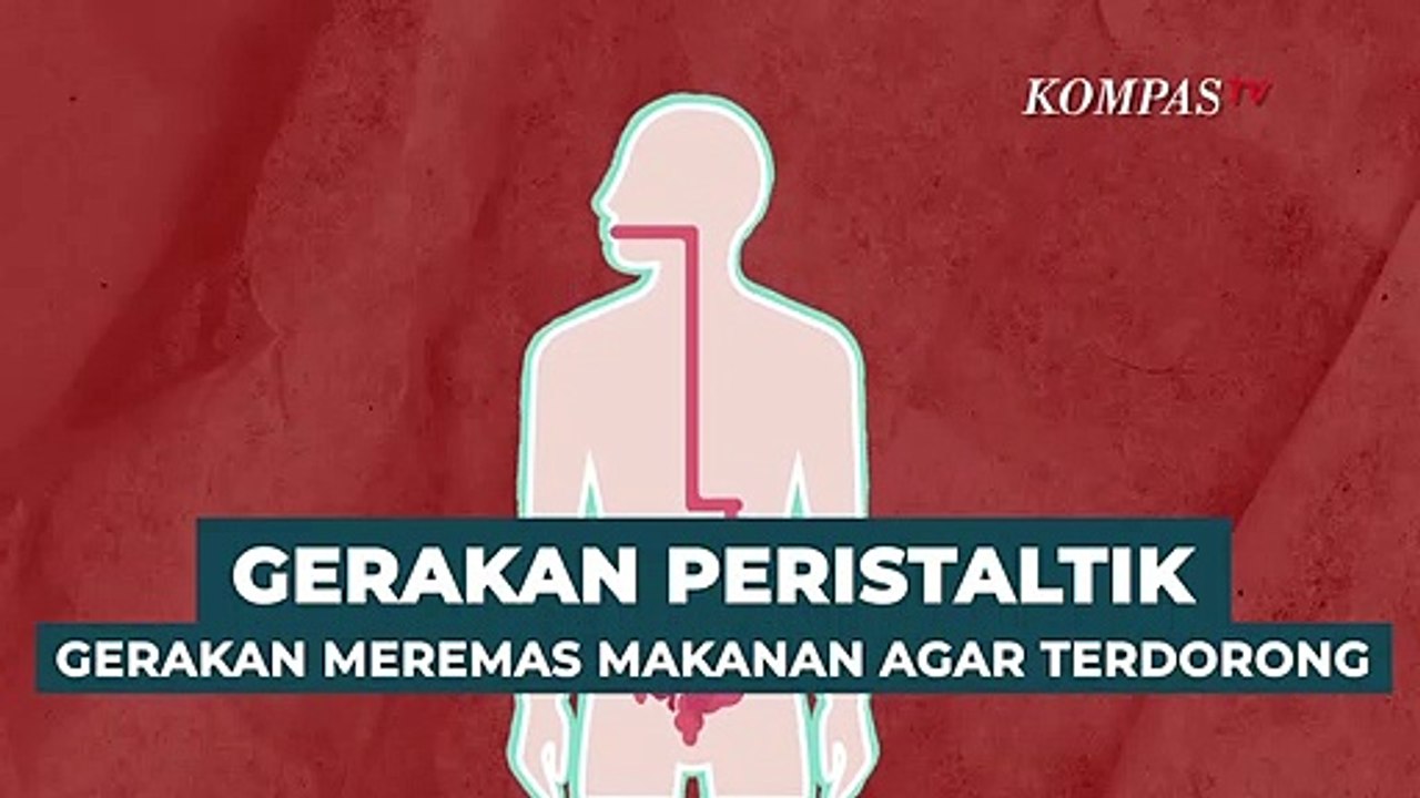 Perut Bunyi, Tanda Lapar? - Video Dailymotion