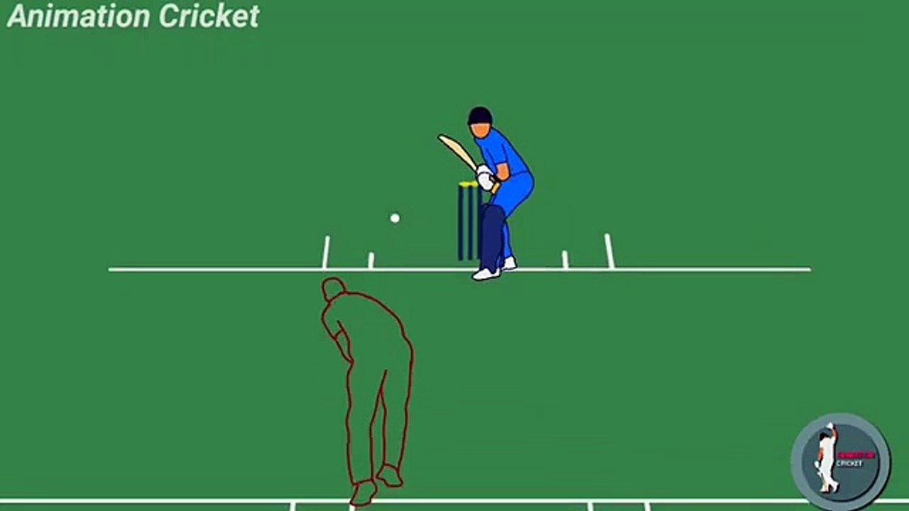 Animation cricket - video Dailymotion