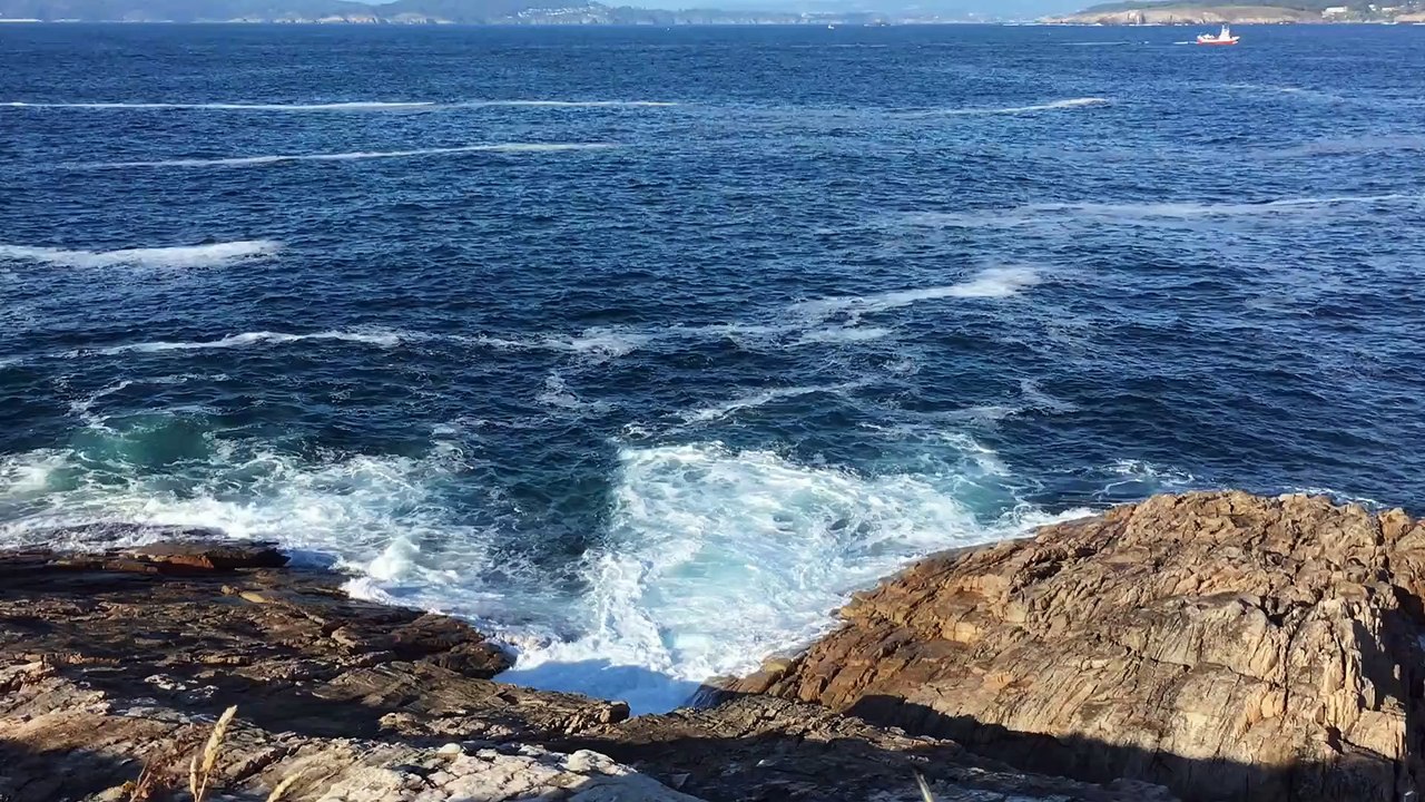 Alive And Sleeping, Nature Relaxing Music, Boday Relaxation - video ...