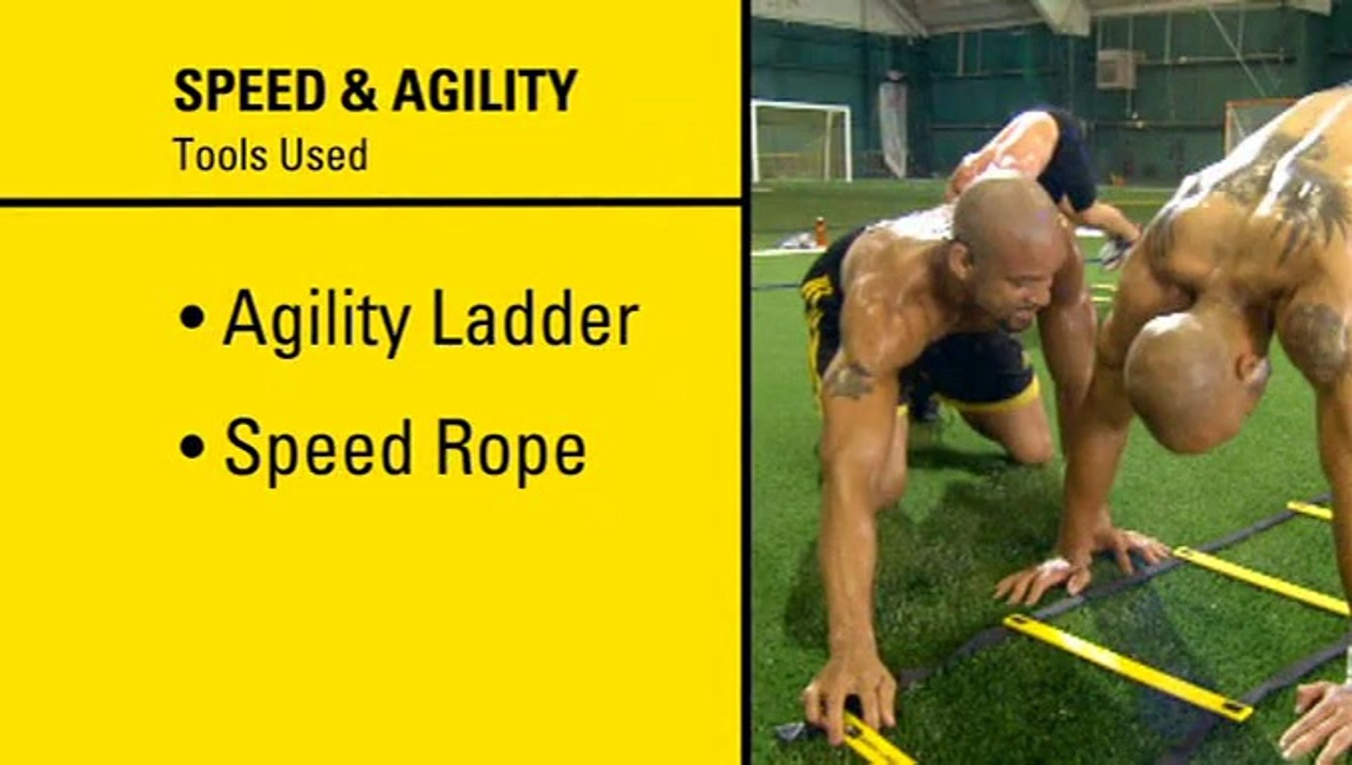 Insanity Asylum Speed And Agility