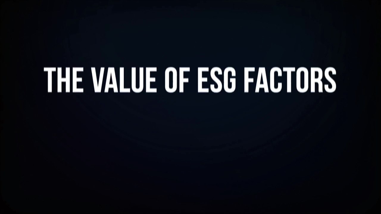 the-value-of-esg-factors-video-dailymotion