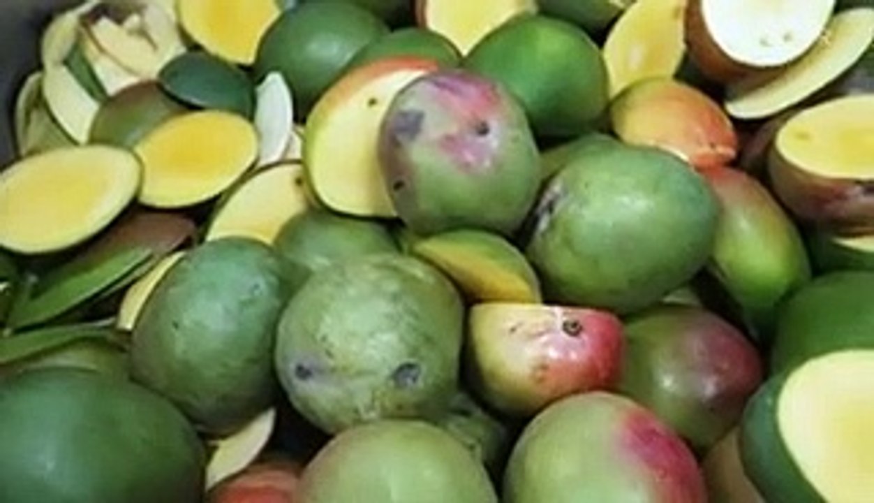 How one Dutch company is making vegan leather from mangoes - video ...