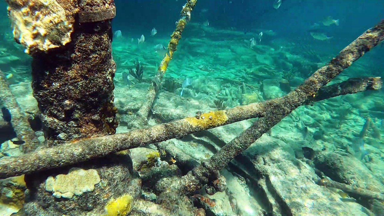 Swimming Under A Lighthouse - video Dailymotion
