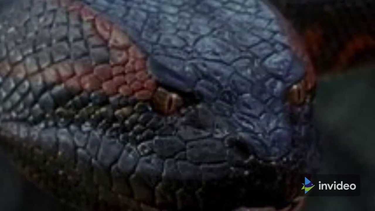 Sucuriju Gigante is believed to be the creator of the Amazon River ...