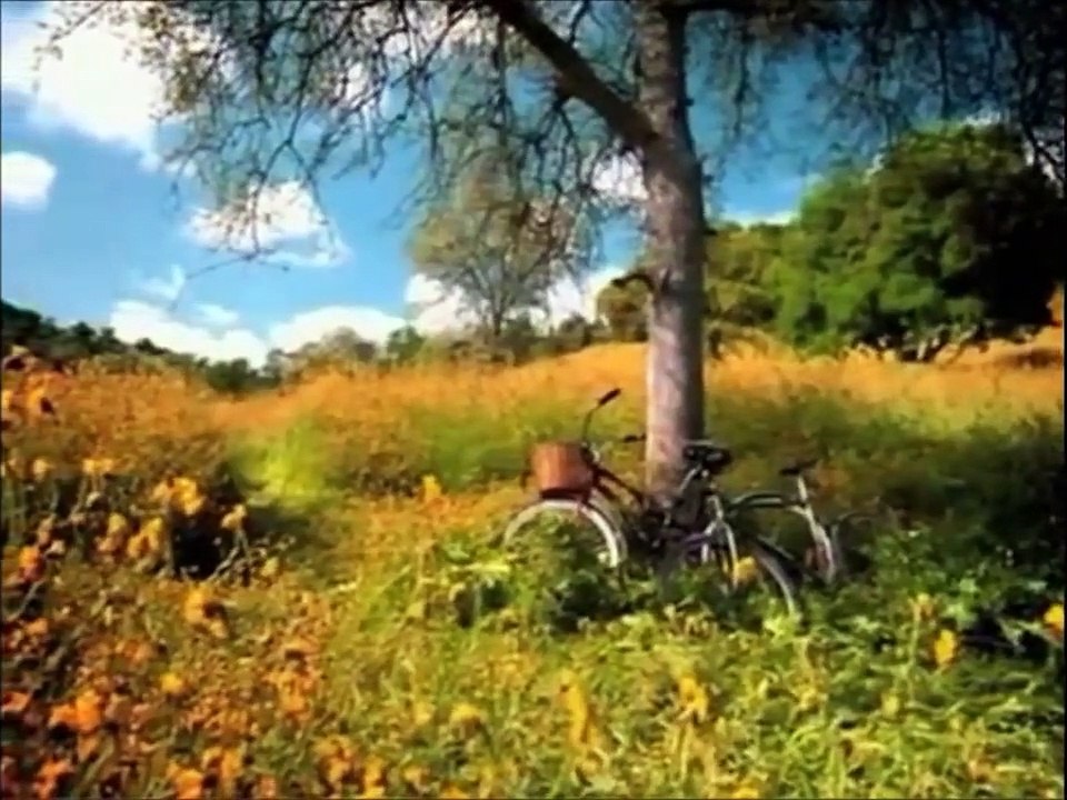 All K-Fee Commercials (English Translated Versions) - Vídeo Dailymotion