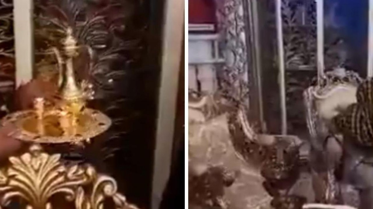 Taliban at Dostum house, shows lavish life of warlord - video Dailymotion