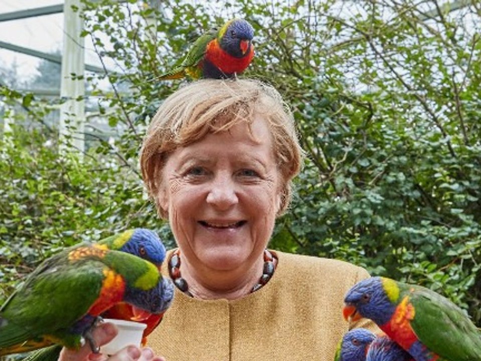 Merkel im Vogelpark: So hat man die Bundeskanzlerin selten gesehen ...