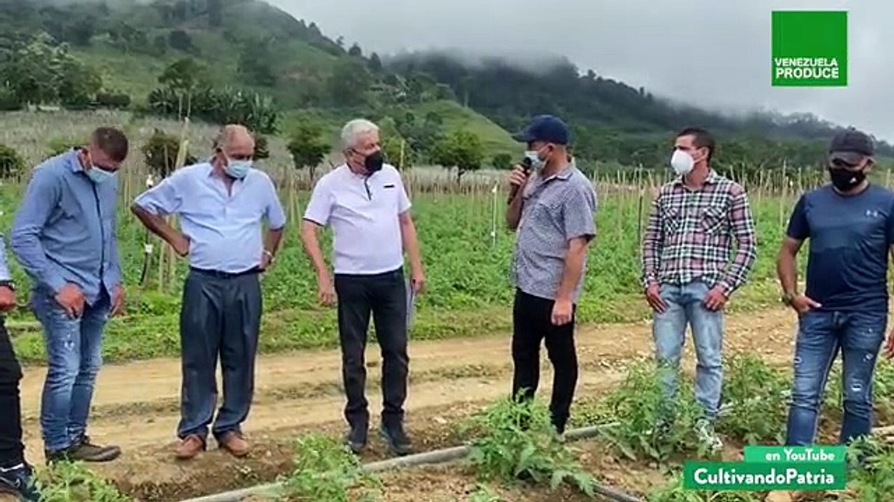 Cultivando Patria | Unidad de Producción La Primavera en Táchira ...