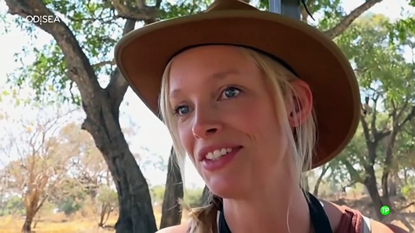 Vídeos de Multipro - Dailymotion