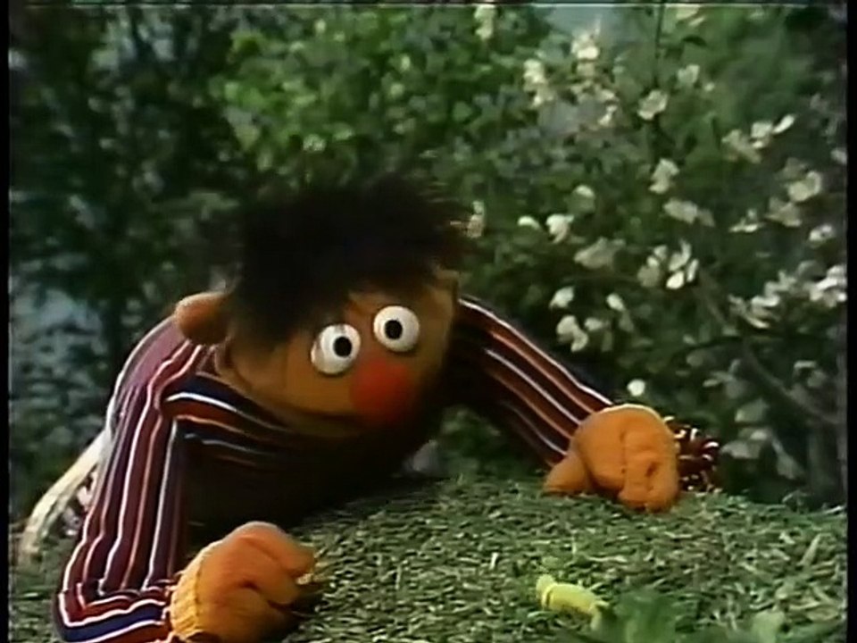 Sesame Street - Sing Hoot and Howl with the Sesame Street Animals (1991 ...