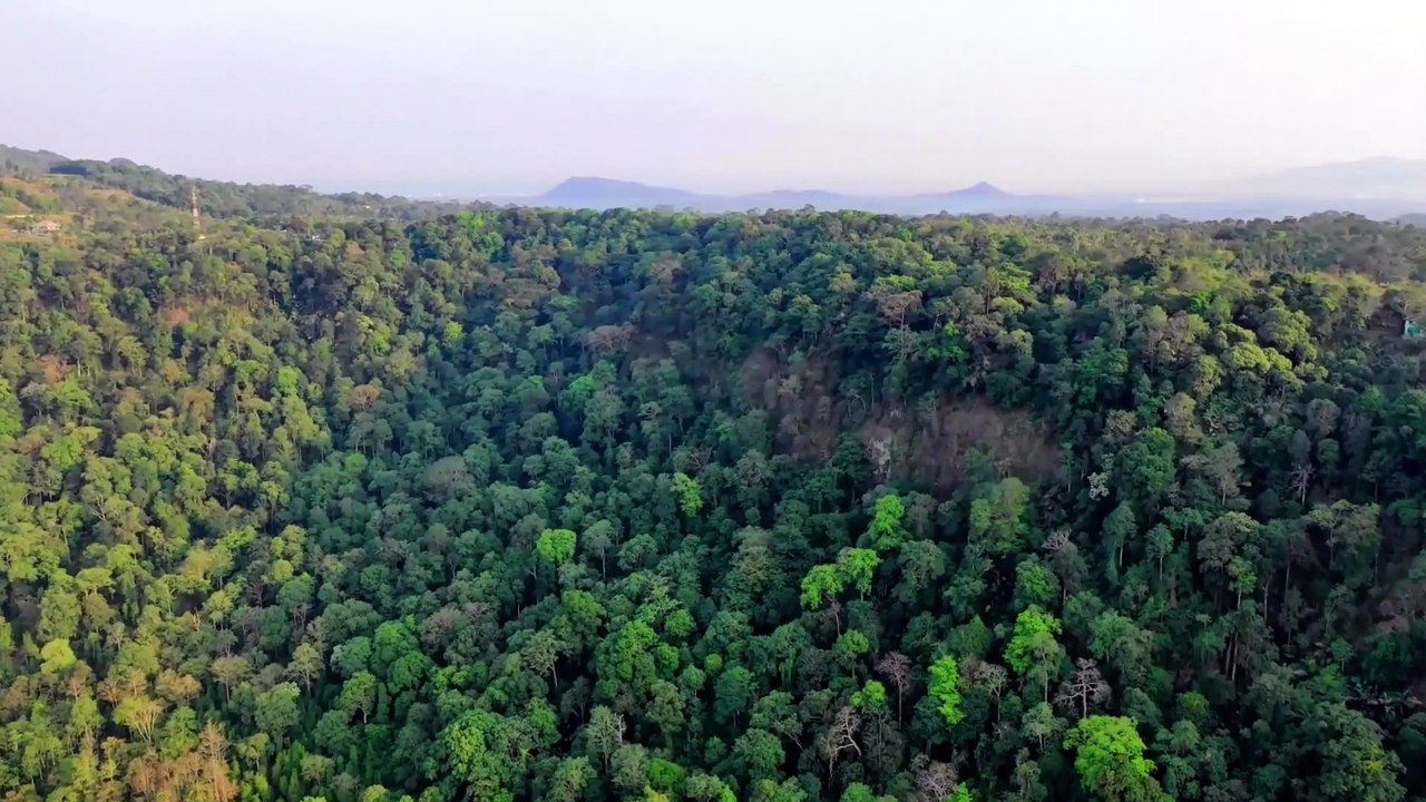 Morning Refreshment ,Mind relief, Relaxing Music-Relaxing Sound With ...