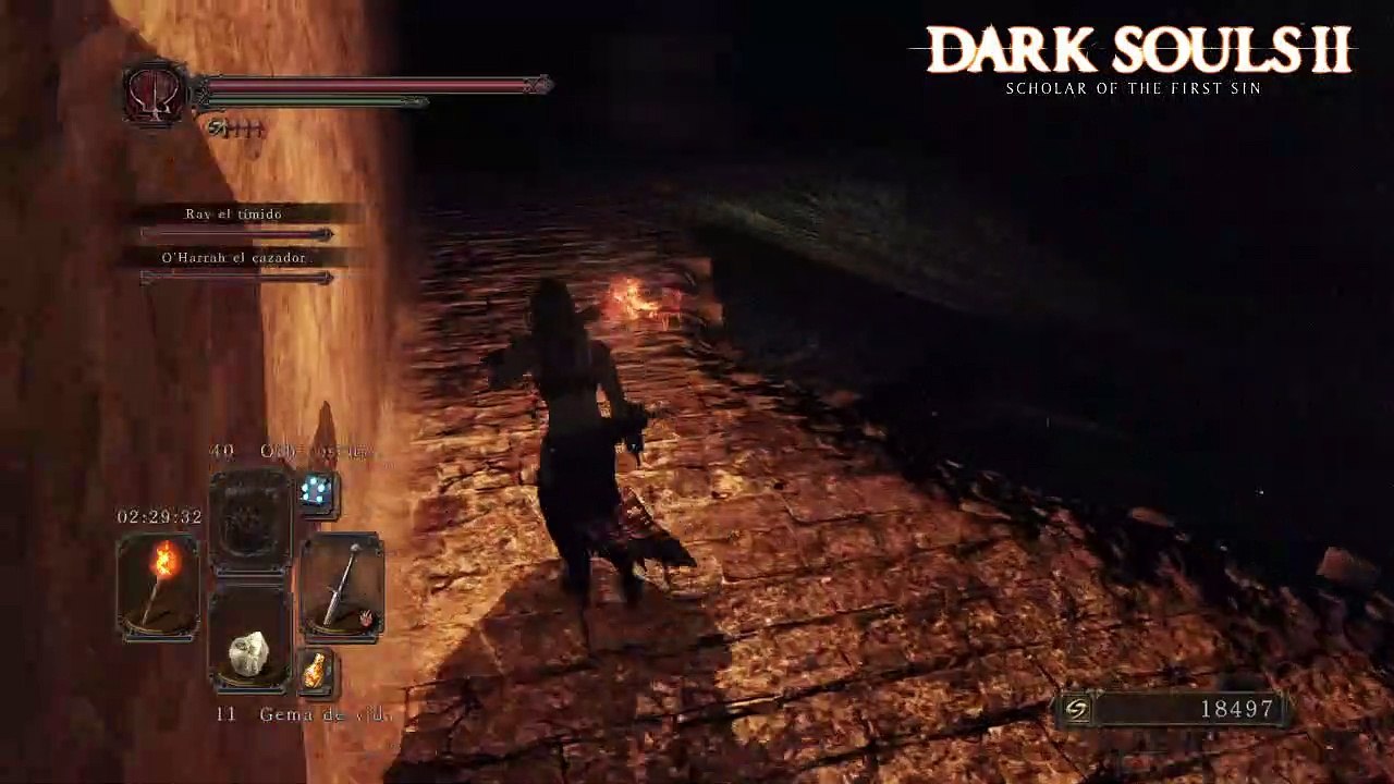 Dark Souls 2 - #14 - Ensenada Piedra brillante Tseldora - Boss Amada ...