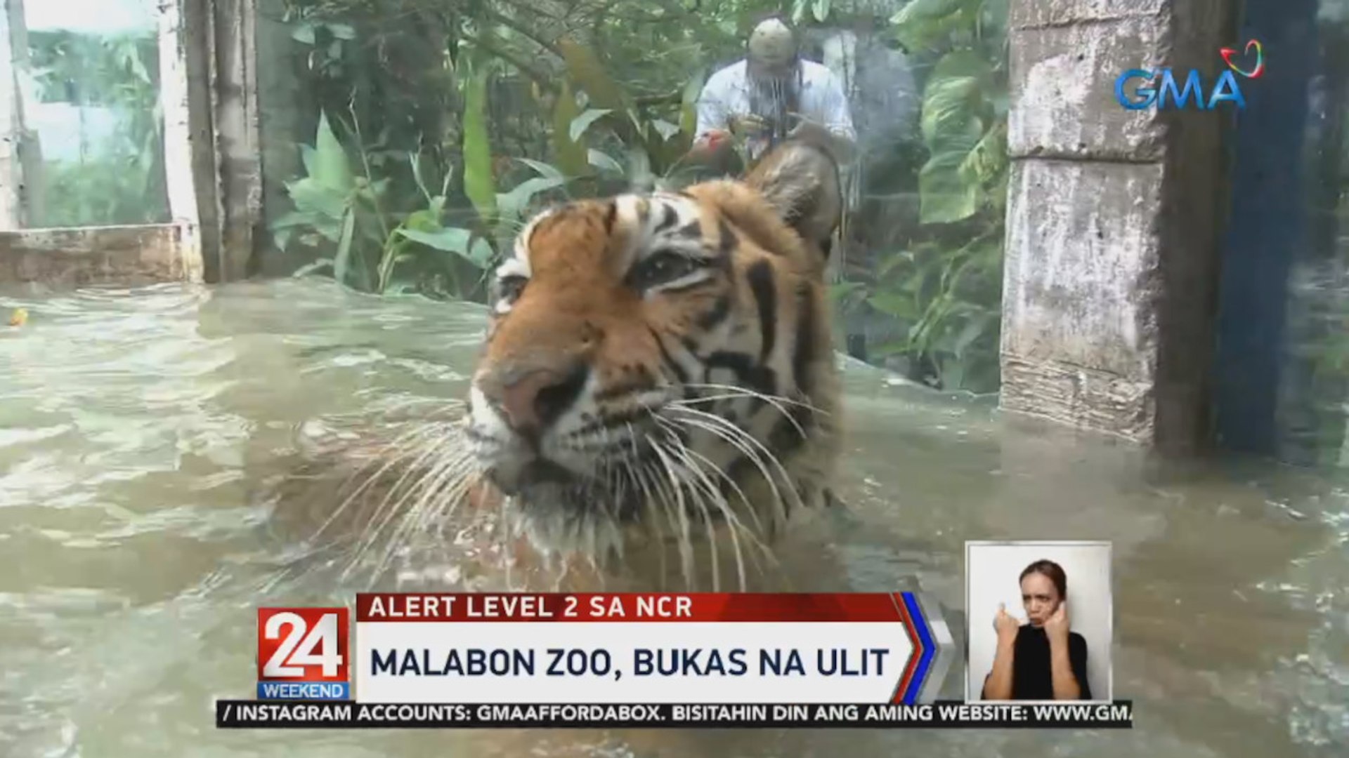 Philippines Malabon Zoo Website