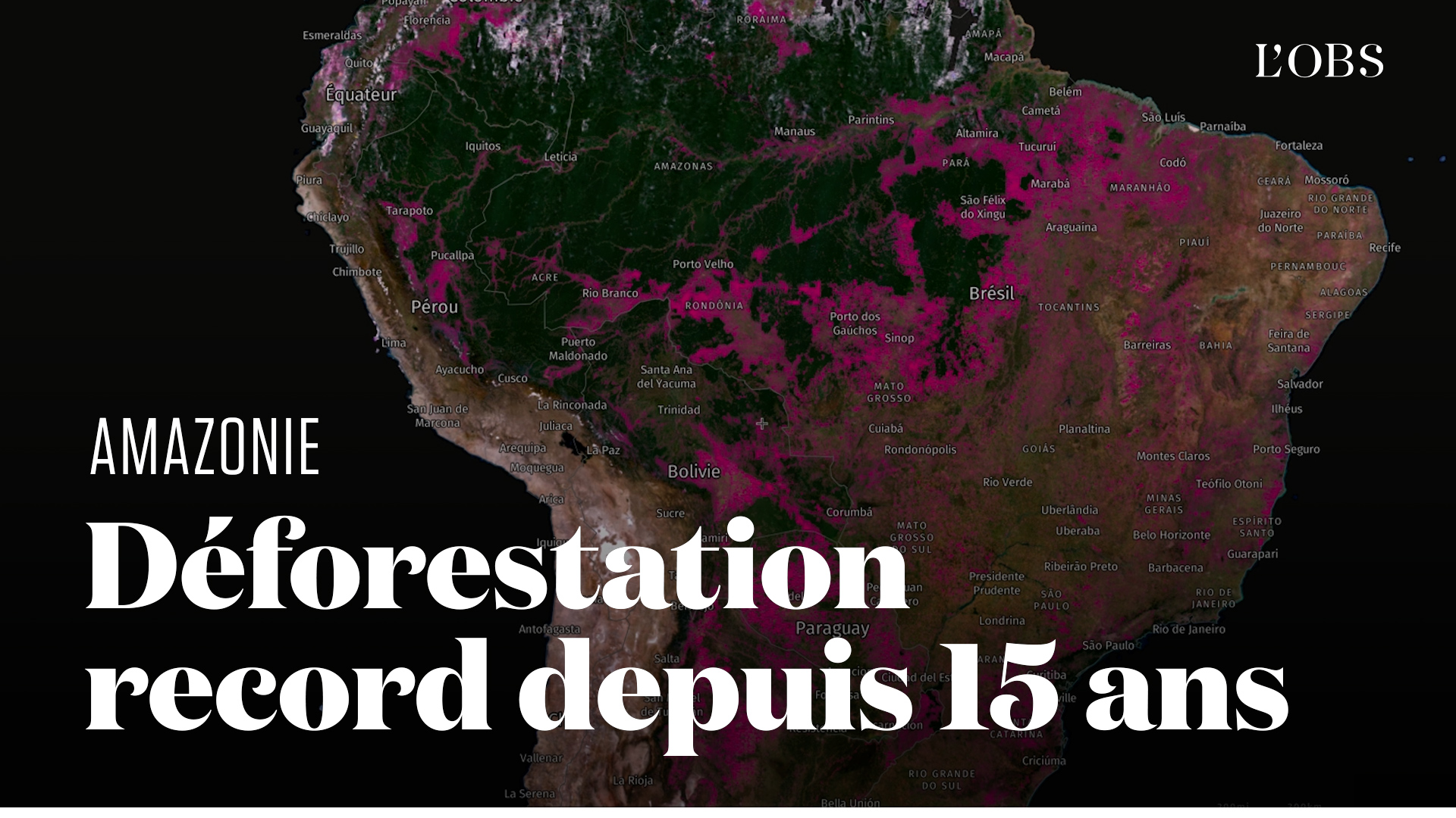 Amazonie Déforestation Chiffres – VHGMX
