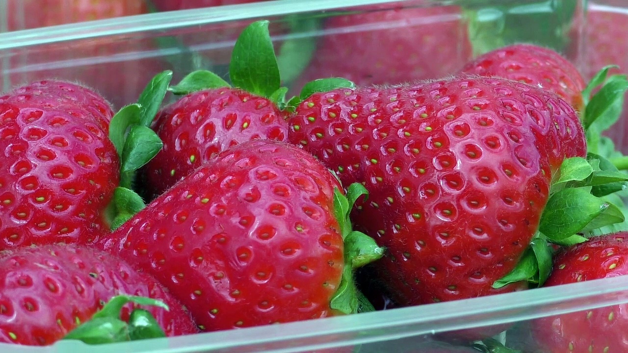 A new Kent strawberry variety is set to hit the market