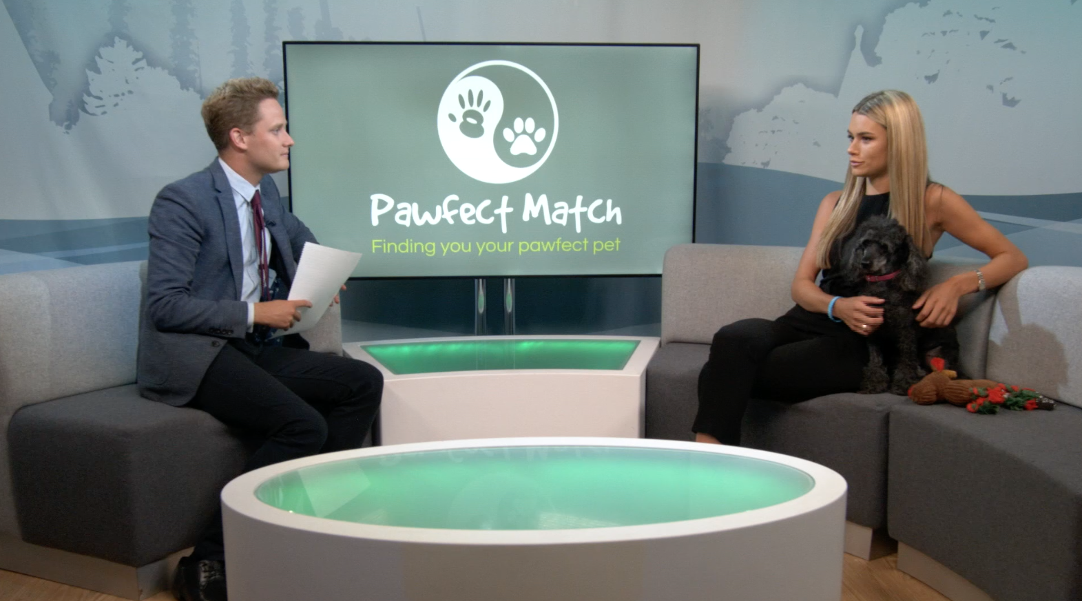 Adopt with ease with new pet app