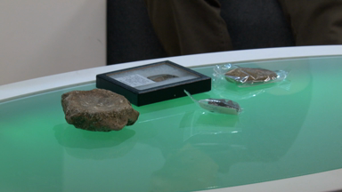 Interactive dinosaur map launched in Kent