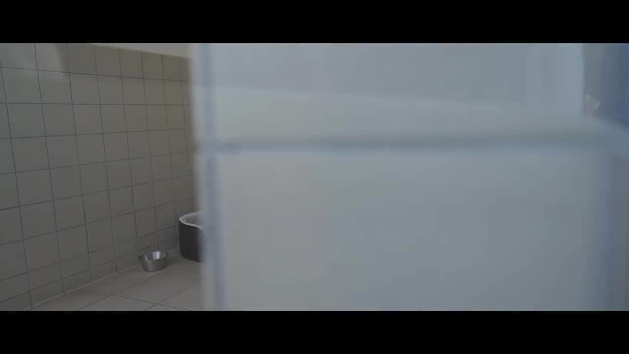 RSPCA Christmas advert 2017