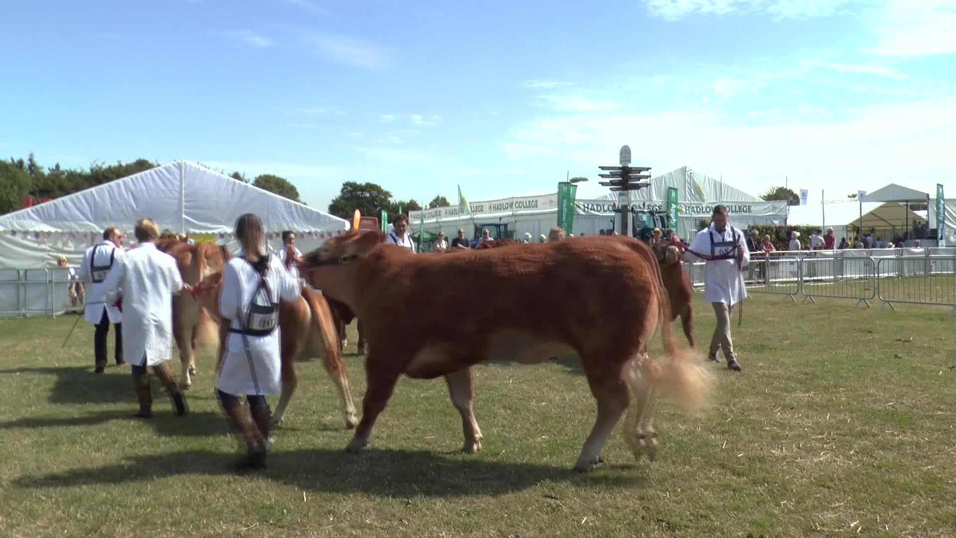 Kent County Show Part 1