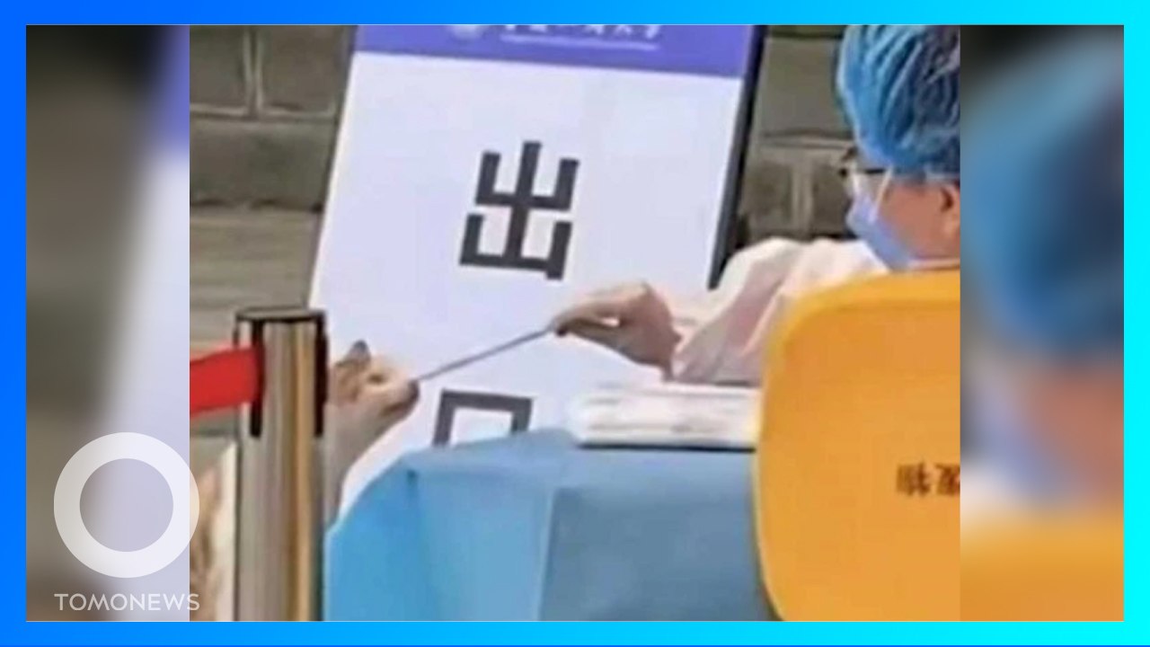 Kucing Gemes Ini Ikutan Antre Tes Swab di China - video Dailymotion