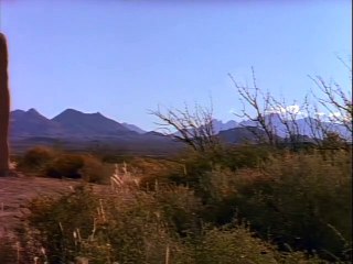 bbbvv by Joey Lynch - Dailymotion