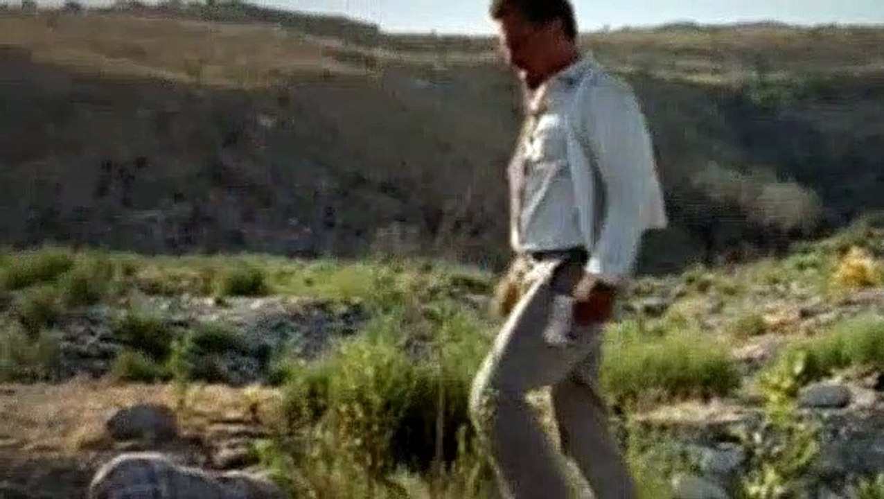 Prison Break S04E01 & 02 - Scylla & Breaking and Entering - Part 02 ...