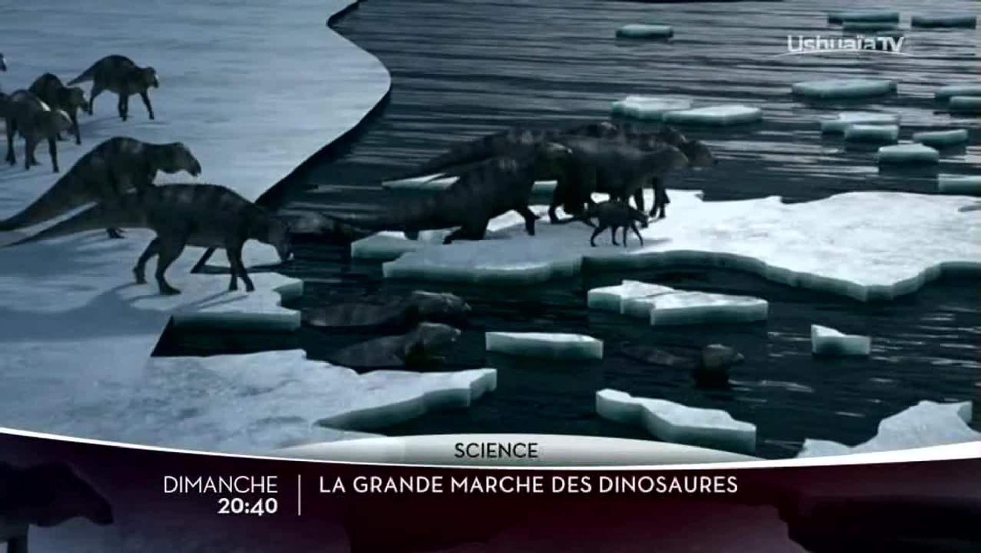 La Marche Des Dinosaurs Musée Éphémère Exposition Dinosaures